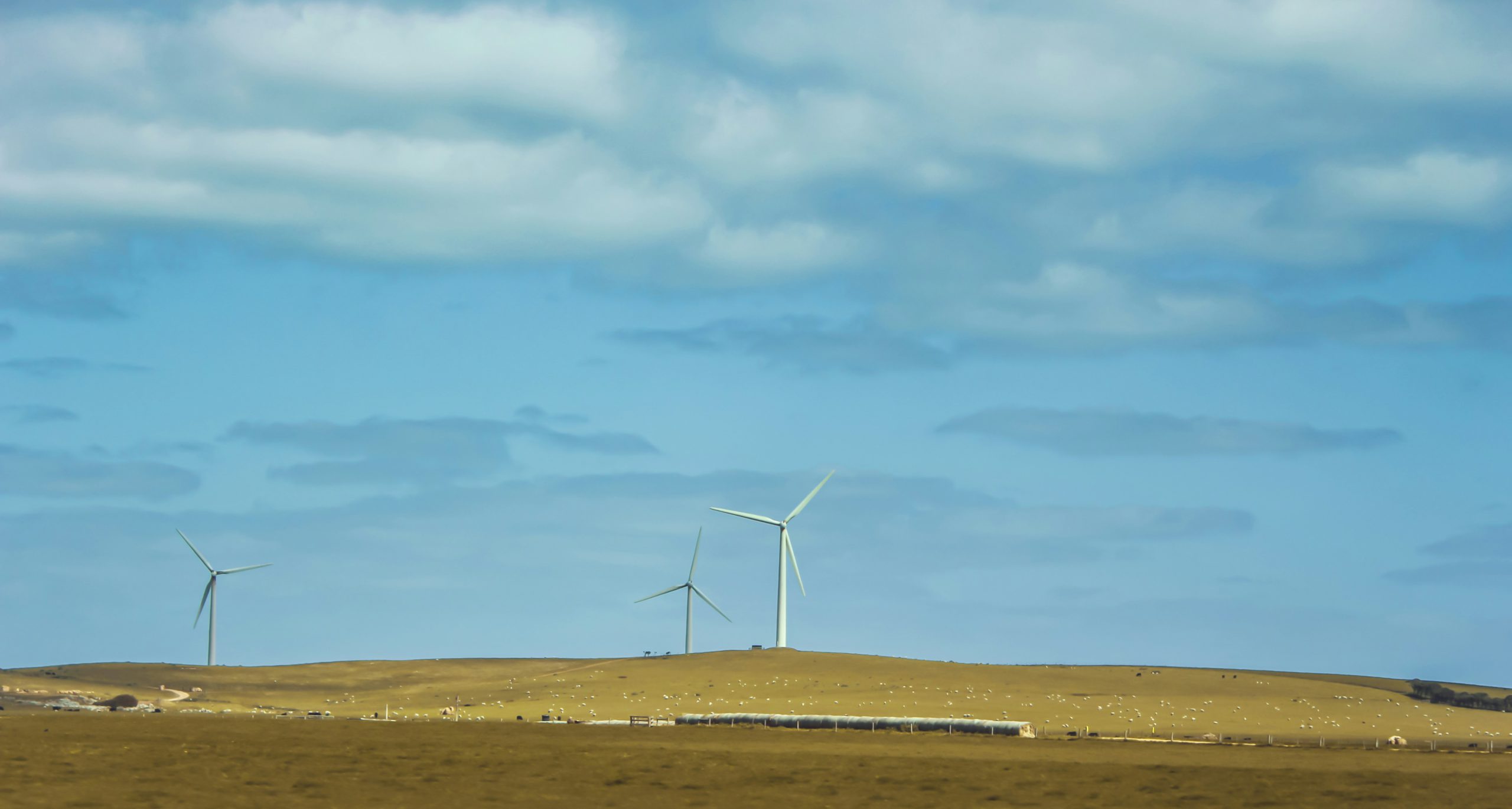 脱炭素ビジネスの極意｜担当者向けの必読書籍7選 - addlight journal